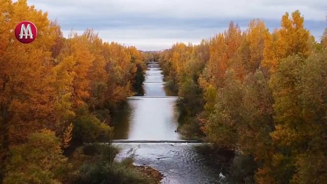 Романс. Красивая и Светлая грусть осенней природы. Андрей Матвеев. Шикарно играет пианист