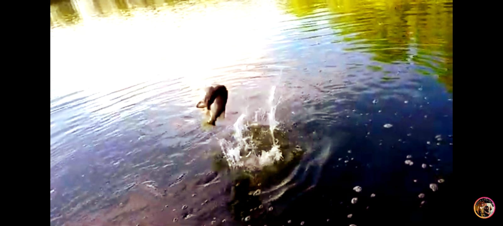 ПОПАЛ НА ЩУЧИЙ ЖОР!!! ЗУБАСТЫЕ исполняют  РОК Н РОЛЛ на воде!!!