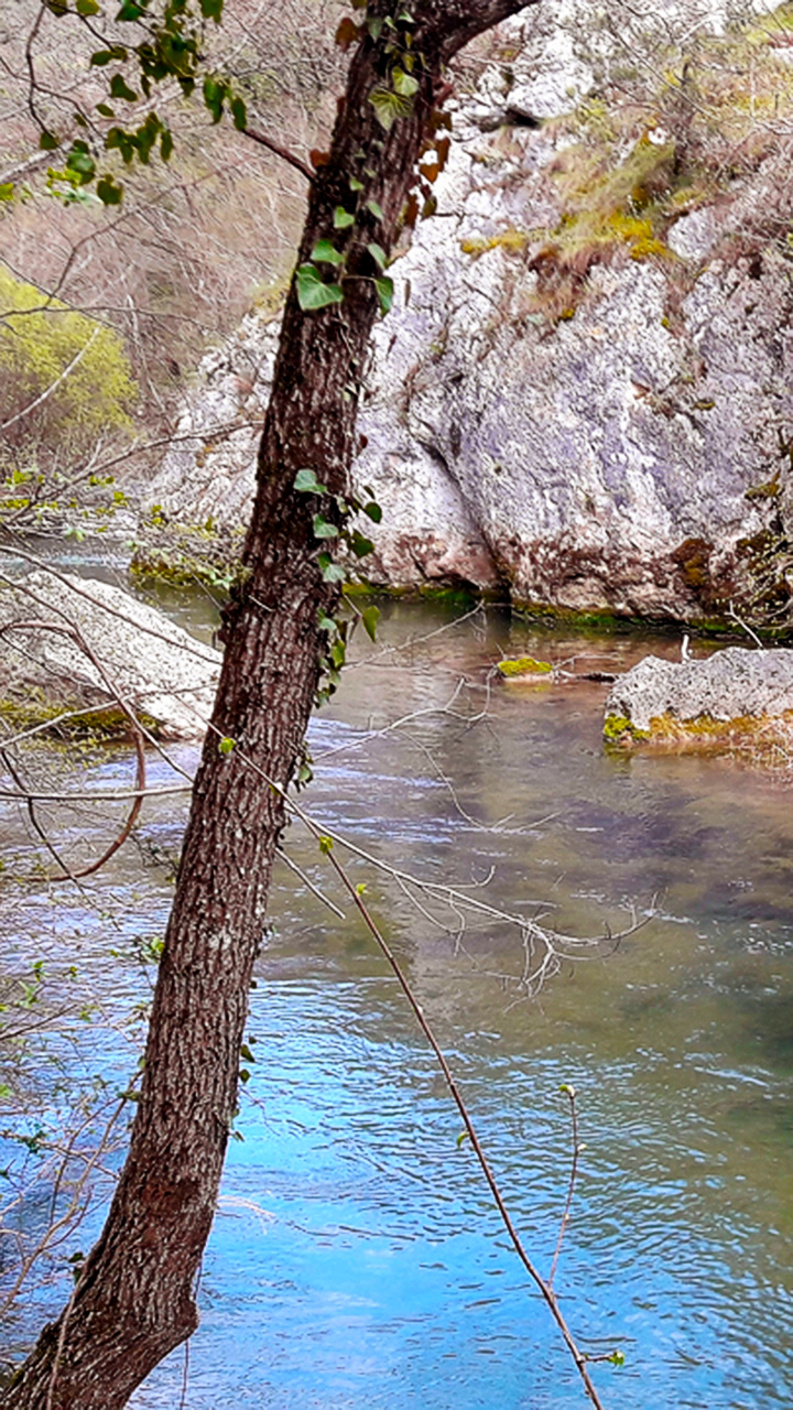 Чернореченский каньон. Поток.