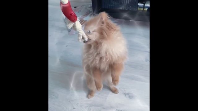 Самый страшный зверь....