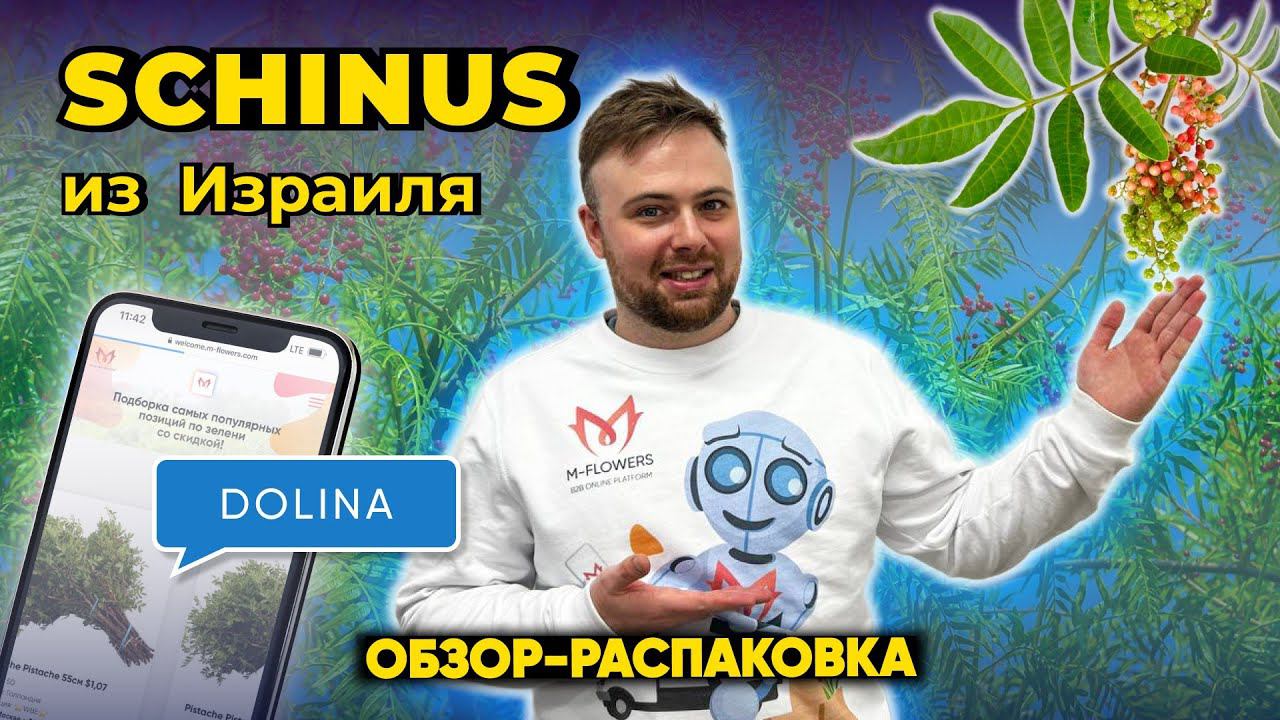 ОБЗОР-РАСПАКОВКА: зелень из Израиля