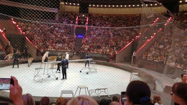 БМЦ 20.06.2024 Открытая репетиция (часть 2)