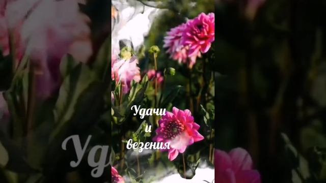 Хорошего настроения