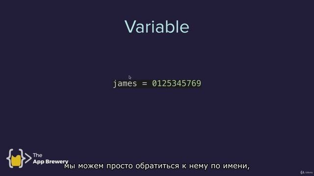 [100 Days of Python] (День 001) 011 Переменные Python