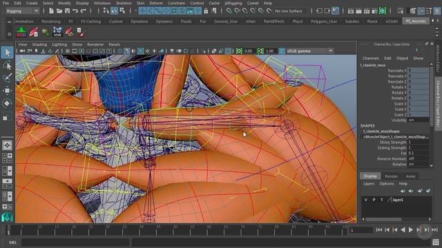 02 13 Creating Clavicle Muscle and Neck Trapezius