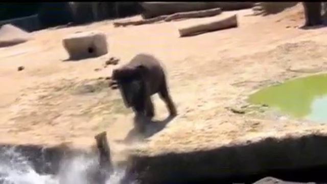 Это было, подленько)))