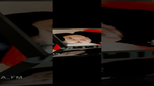 Бактус в кубе.mp4