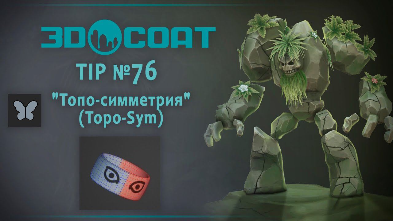 3DCoat (TIP №76) Топологическая симметрия / Topo-Sym.