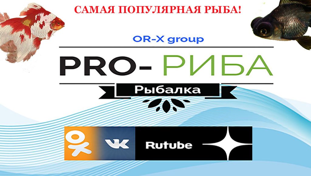 Pro-Риба | Самая популярная рыба в мире! #рыбалка