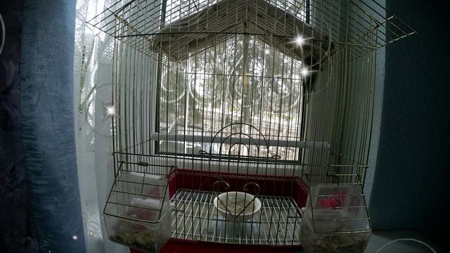 Чик "Балланда"