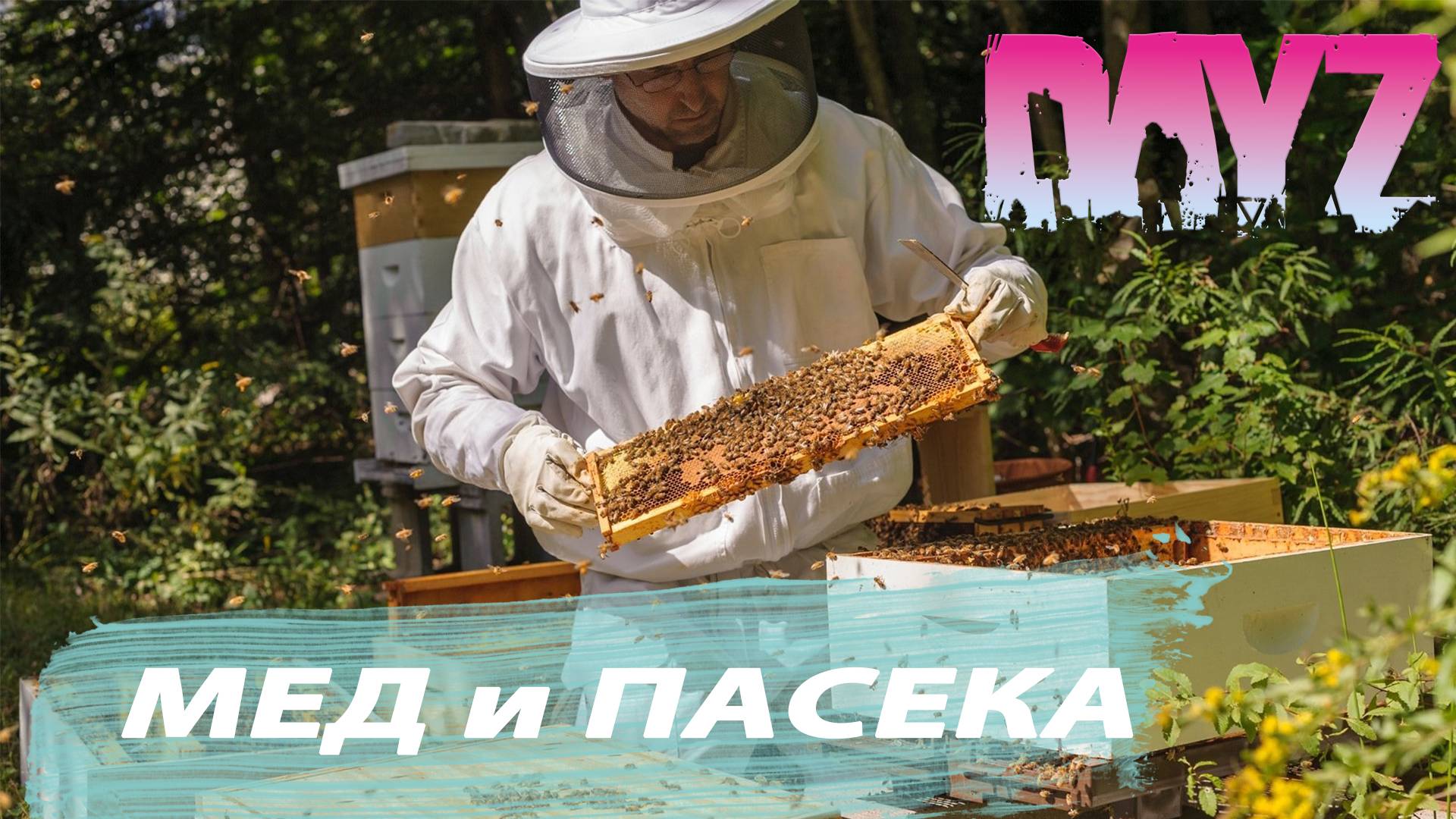 DayZ Как делать мед?