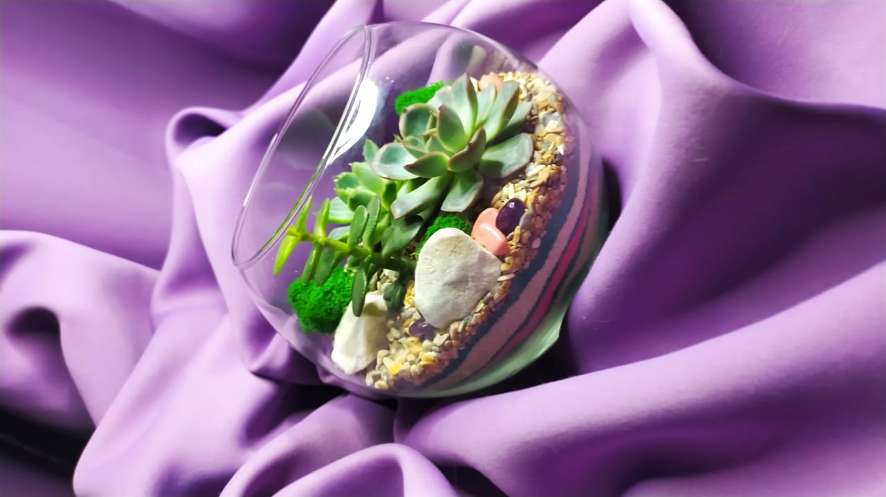 Флорариумы | Magician_flo | СПб