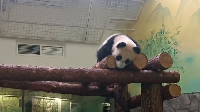 Самая беззаботная и счастливая девочка на свете