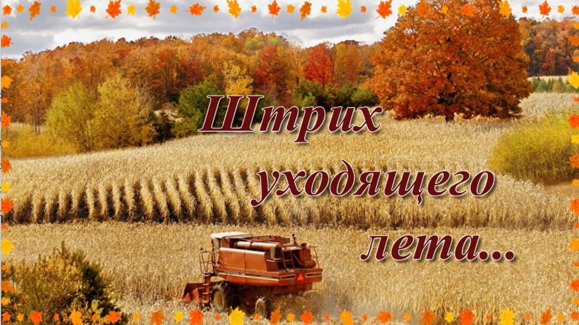 Штрих уходящего лета...