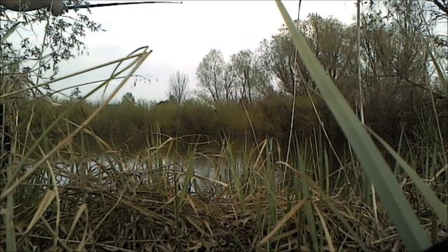 как клюет рыба весной на озере!