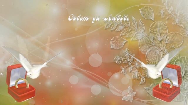 06 С ДНЁМ СВАДЬБЫ