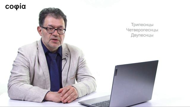 Литургика / 7. Гимнография. Ч. 1. sophias.ru