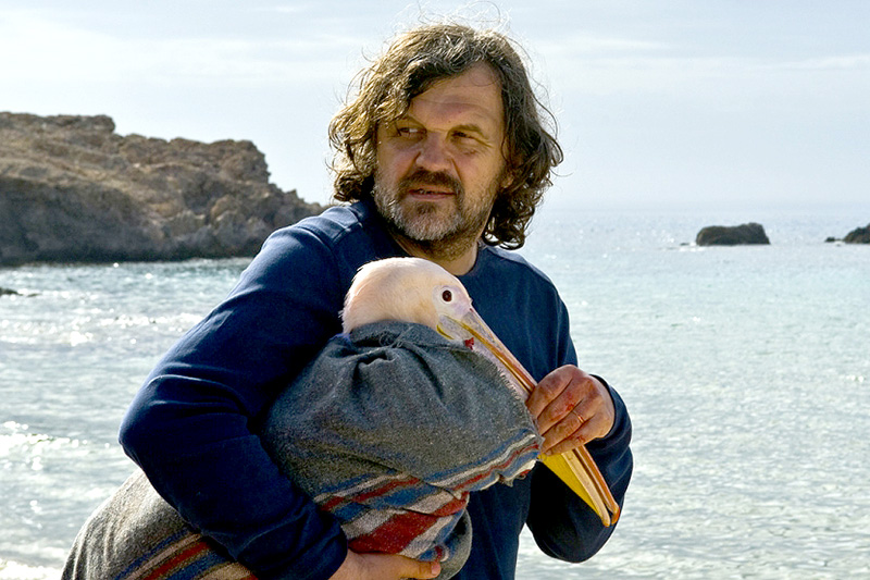 Вечер с родными: лучшие фильмы для просмотра с семьей