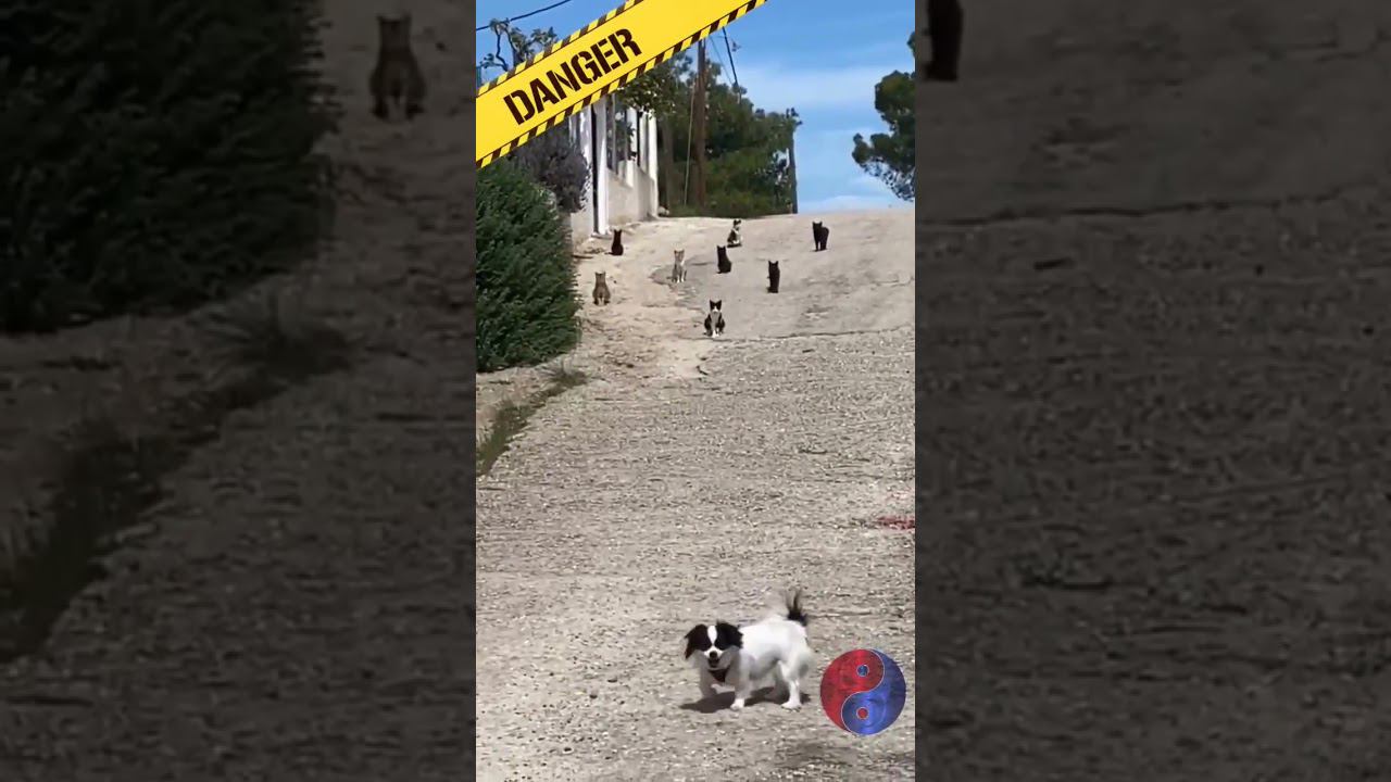 Главное красиво уйти, при такой расстановки сил...