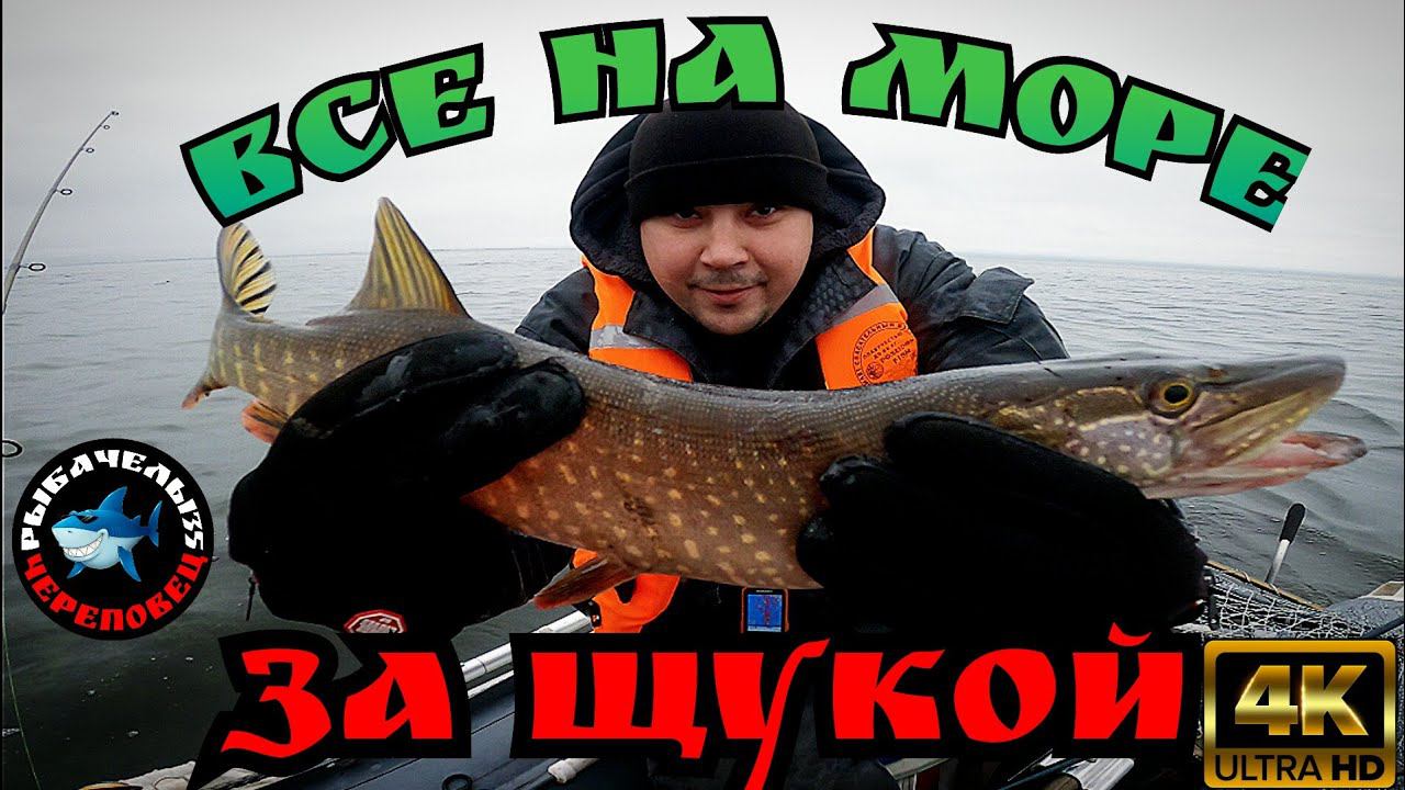 4ой БРИГАДОЙ собрались на Рыбинке!Рыбалка в 4к на Рыбинском Водохранилище!Ловля Щуки в Сентябре2021