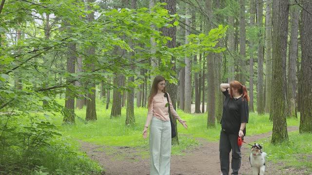 "Просто о сложном": Как обезопасить себя от клещей?