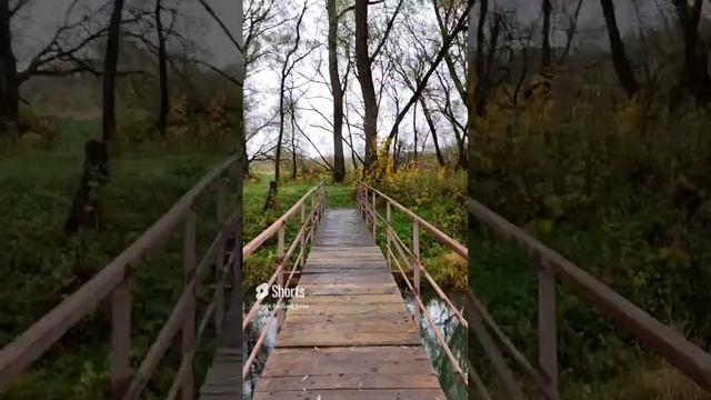 #деревня #villagelife #village