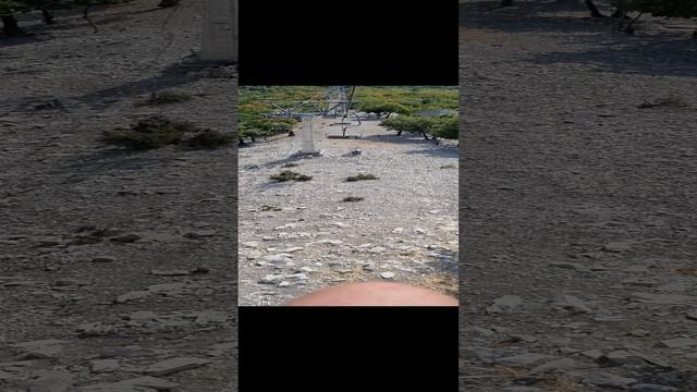 Видно оленей с канатной дороги в Геленджике