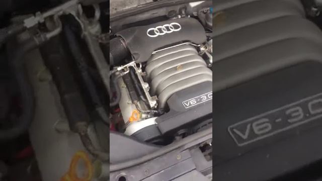 Отзыв клиента о компании Карвет. ДВС ASN на автомобиль Audi A6.