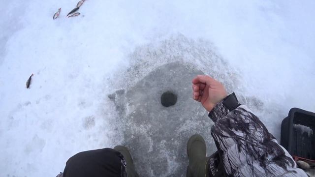Ловля окуня на Псковском озере. 06.02.2022.
