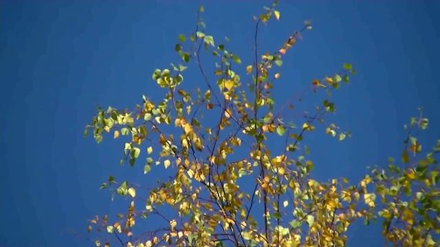 Осенний пейзаж 4 - Ноктюрн