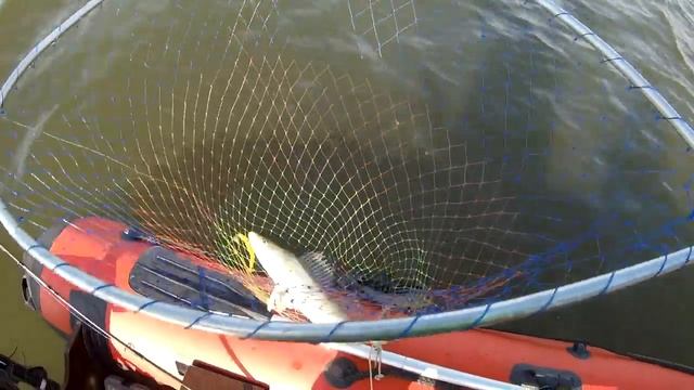 Рыбалка на судака осенью Бердь