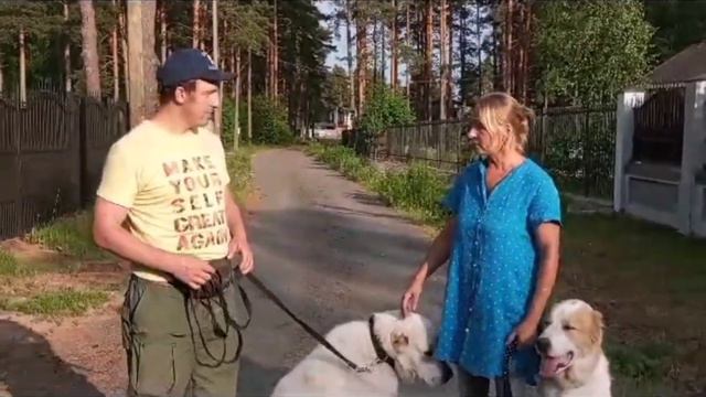 Воспитание САО. работа над командой '' Рядом'' на прогулке