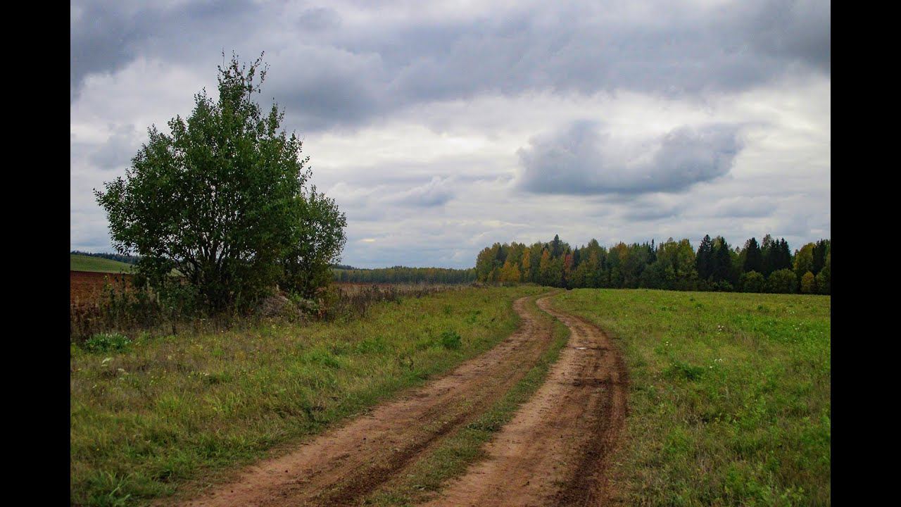 Мир в моём объективе,лето 2021г