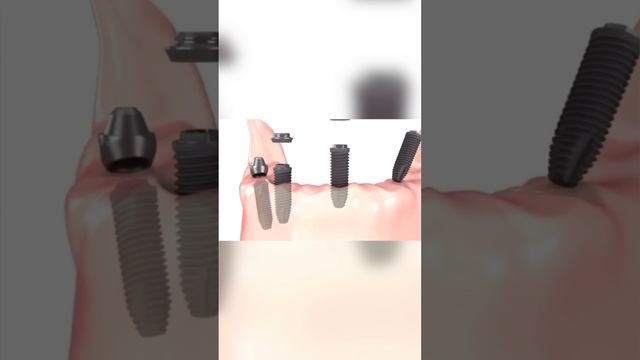 Все на четырех