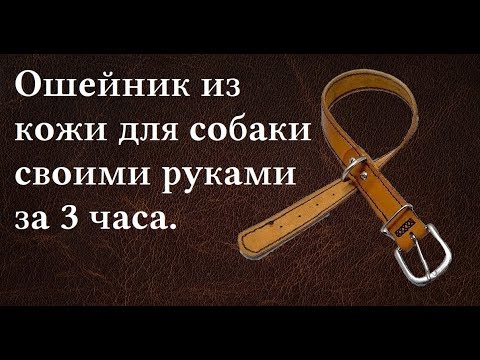 Ошейник из кожи своими руками | ?Кожаный ошейник для собаки