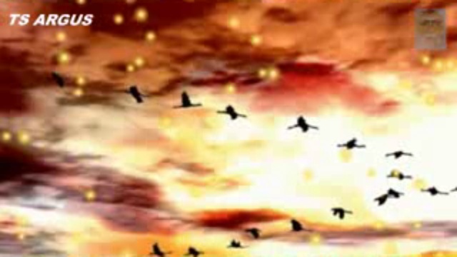 52 Ветер в поле разгулялся