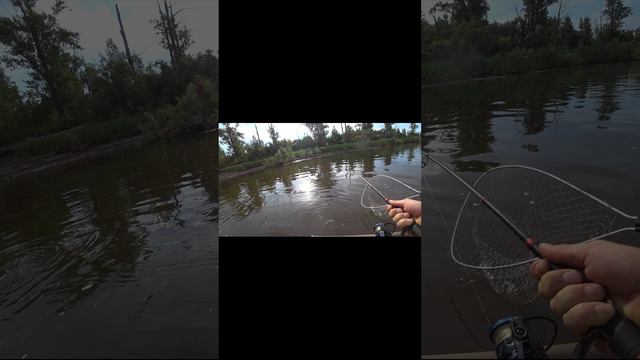 КРУПНАЯ ЩУКА на СЛАГ от ....#shorts