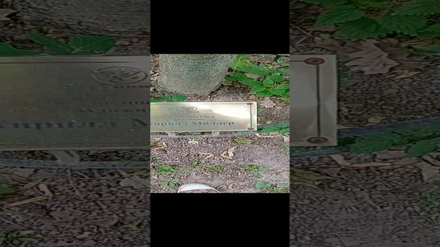 музей граммофонов