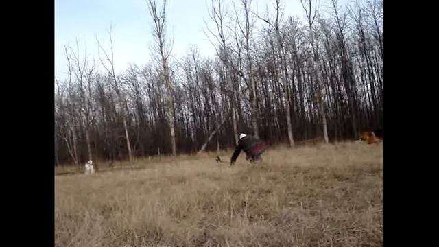 Фризби Вебстайл 2014 Ольга и НО Дег.mp4