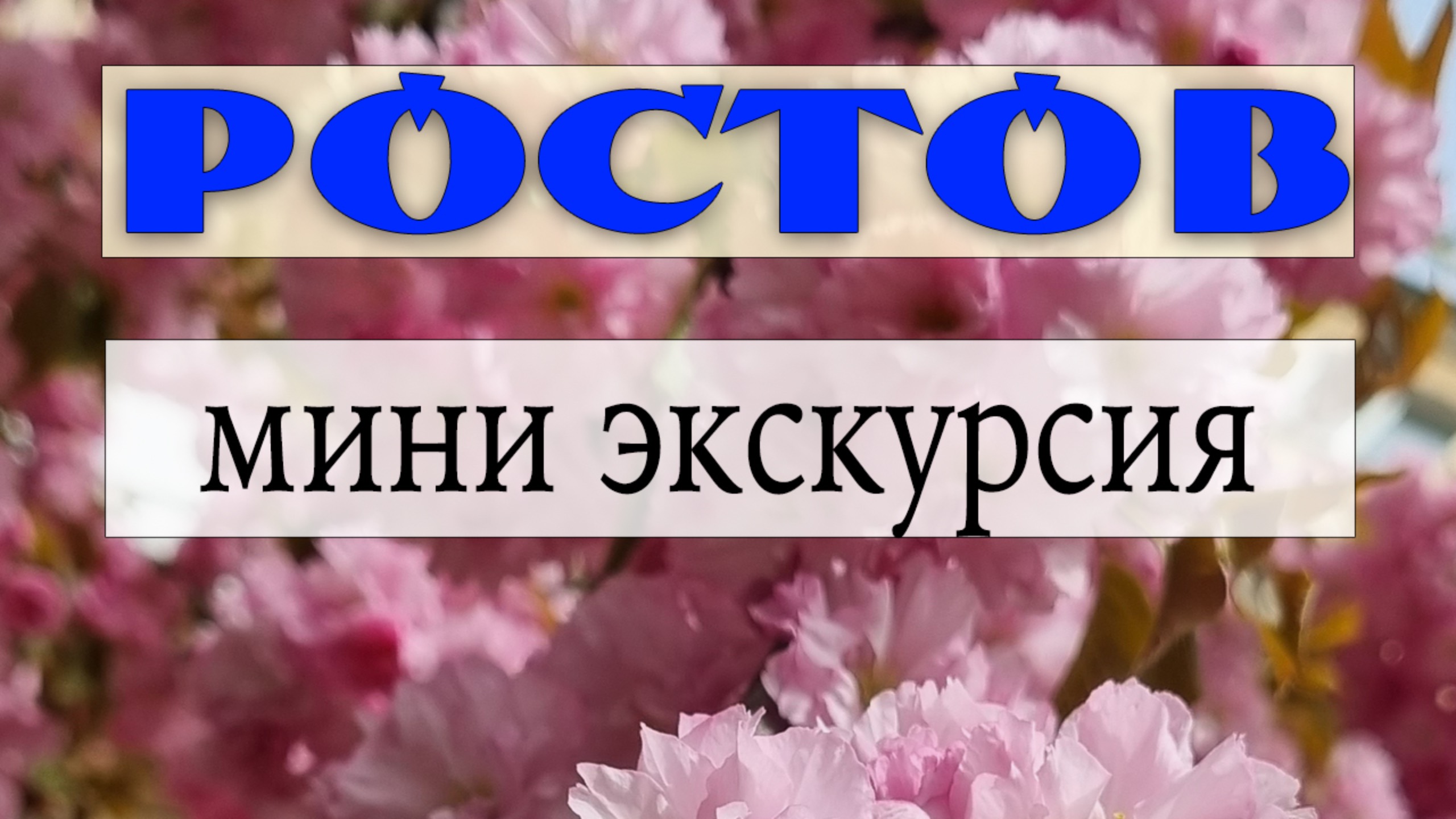 Весна в Ростове - мини экскурсия.