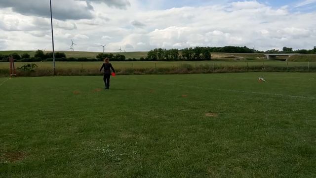 AWI Qualifier Austria'17 Lilia & Poppy.mp4