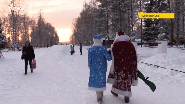 Регион29_Ёлка желаний