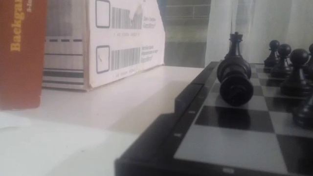 Шахматное действие (2023)