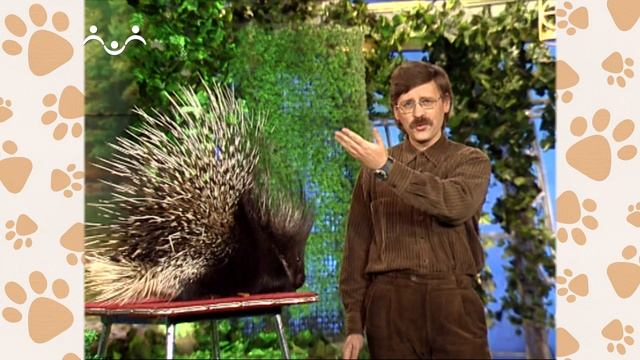 Лапы, крылья и хвосты. 20-й Выпуск