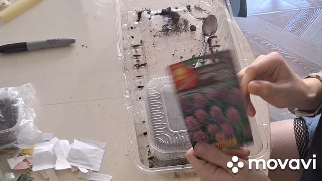 посадила колокольчик , бергамот и львиный зев от 21.03.24