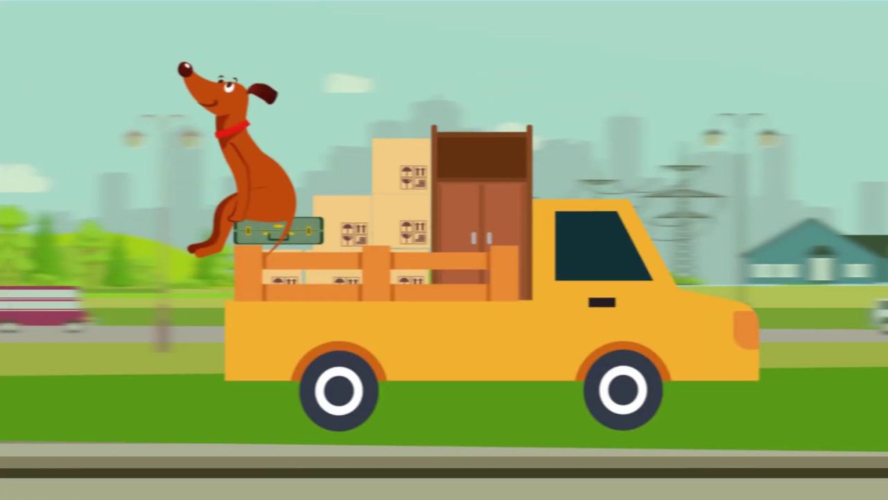 Шоурил 2019 Графических роликов