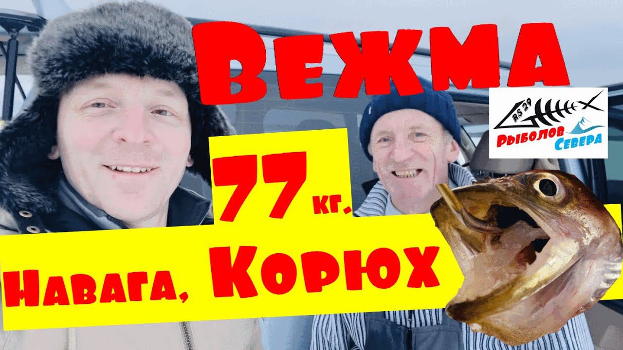 77 КОРЮХА И НАВАГИ ЗА 1 ДЕНЬ!  РЕКА ВЕЖМА В УНСКОЙ ГУБЕ #Рыболов_Севера