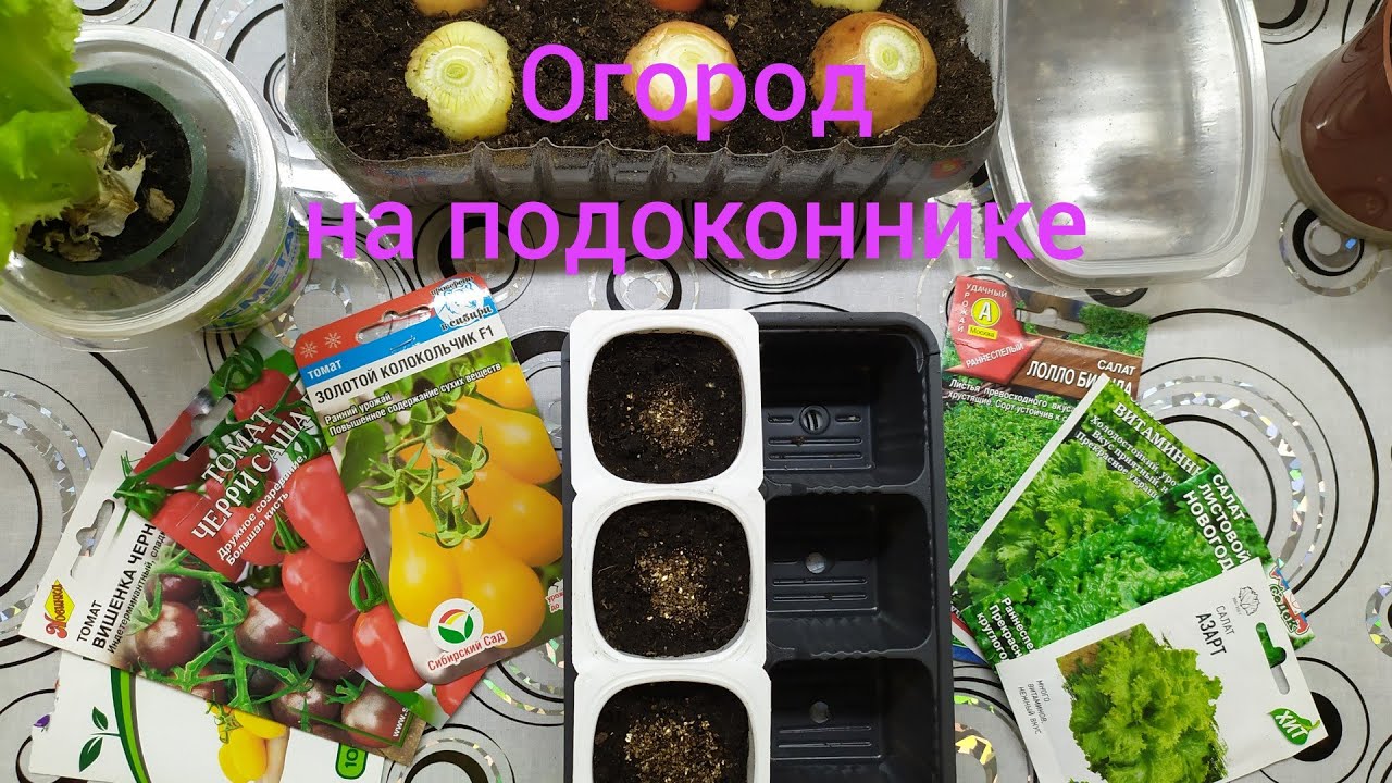 Посев томатов и салата. Открытие сезона 2022..mp4