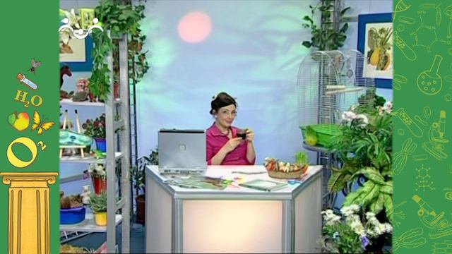 АЗН. Биология. Доместикация. Ваниль. Хамелеон