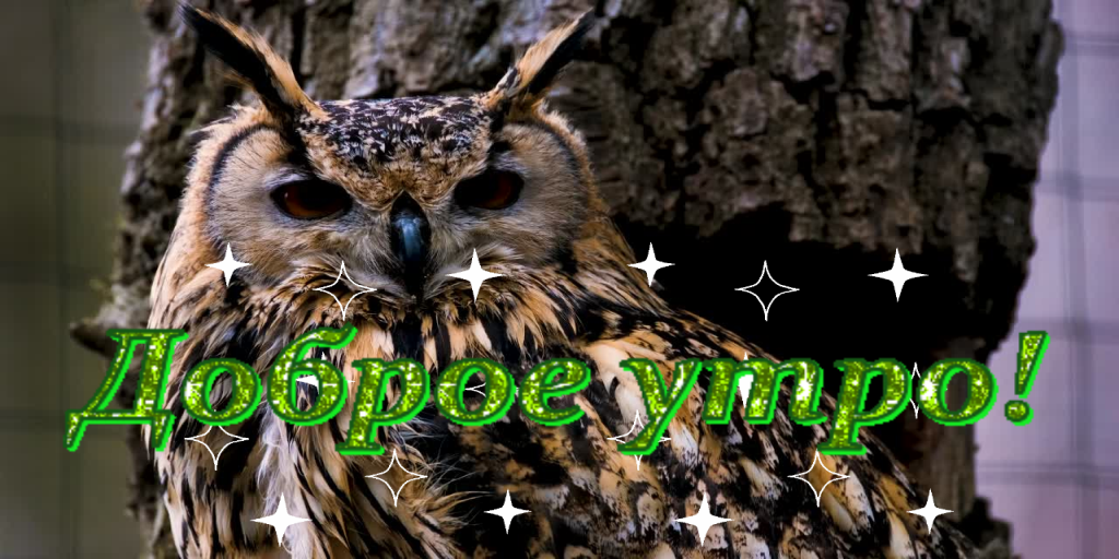 ?ДОБРОЕ УТРО!